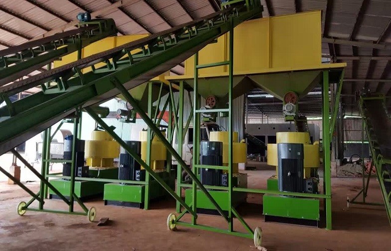 Beech Wood Sawdust Complete Line Wood Pellet Making Machine With 3T/H ...